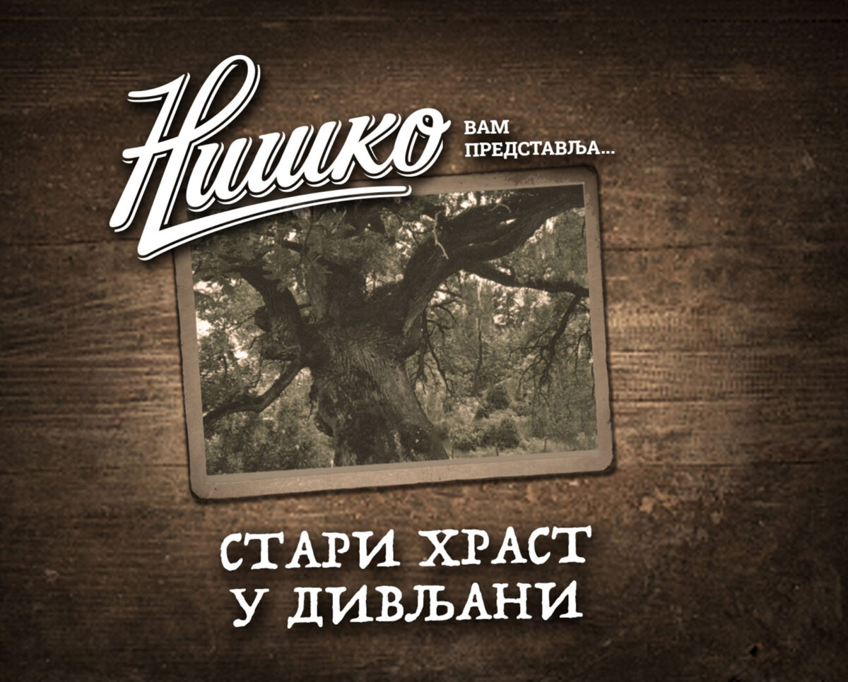 ДИВЉАНСКИ СТАРИ ХРАСТ - ГОРОСТАС - Нишка Пивара